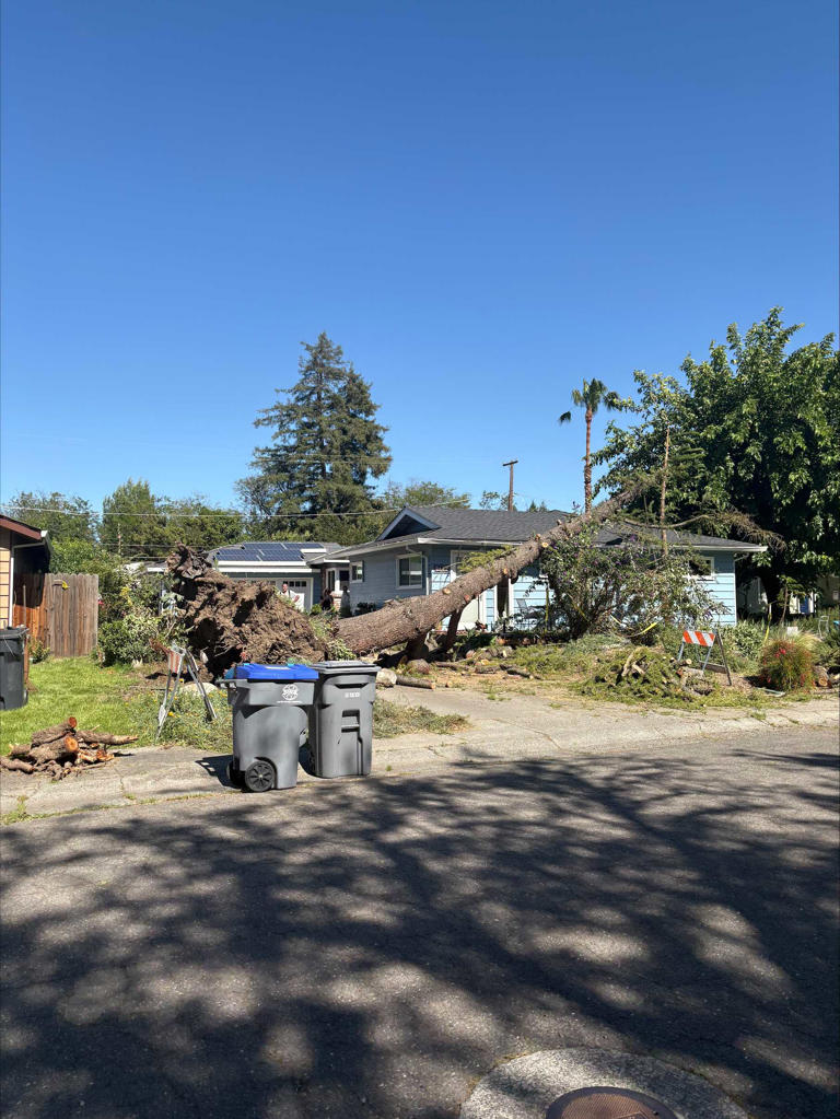 NorCal wind updates: PG&E begins re-energizing process for some counties