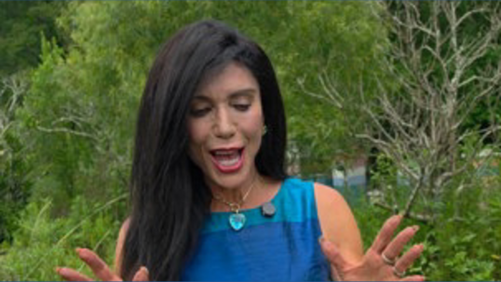 Canal St. bees? WWL breaks down what the buzz is about