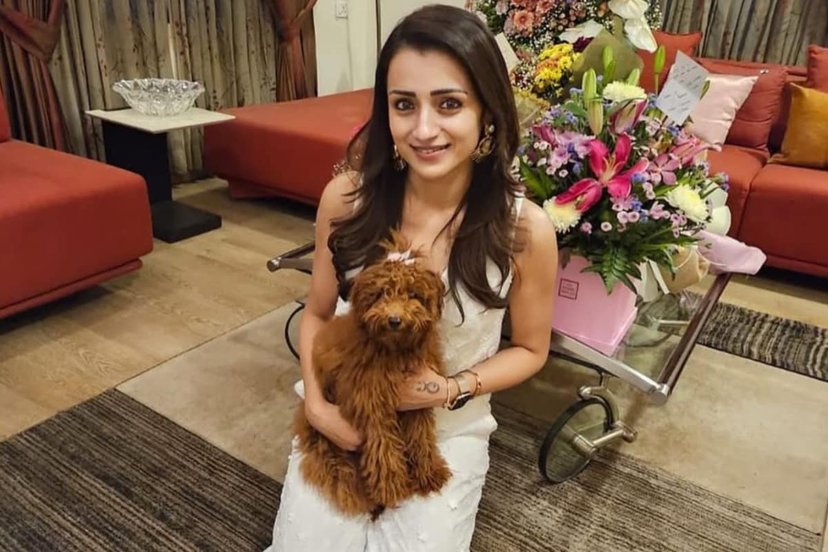 Trisha Krishnan’s chic Chennai home is all about earthy aesthetics and ...