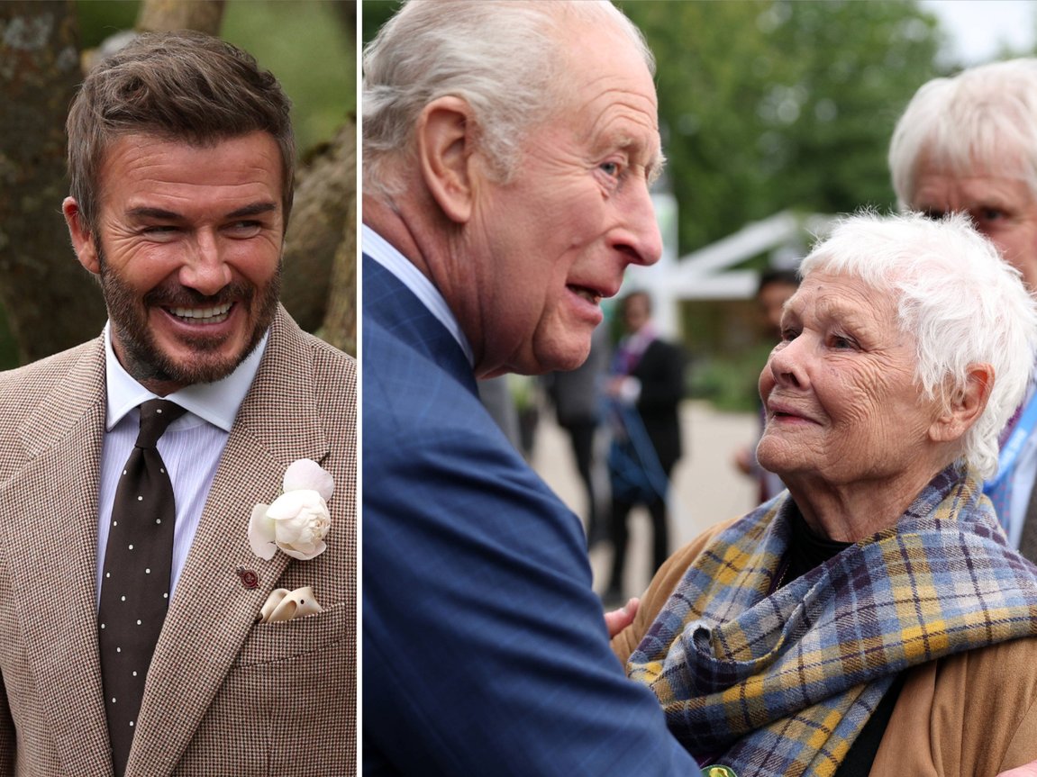 Charles und Camilla bei Chelsea Flower Show: Beckham-Rose glänzt