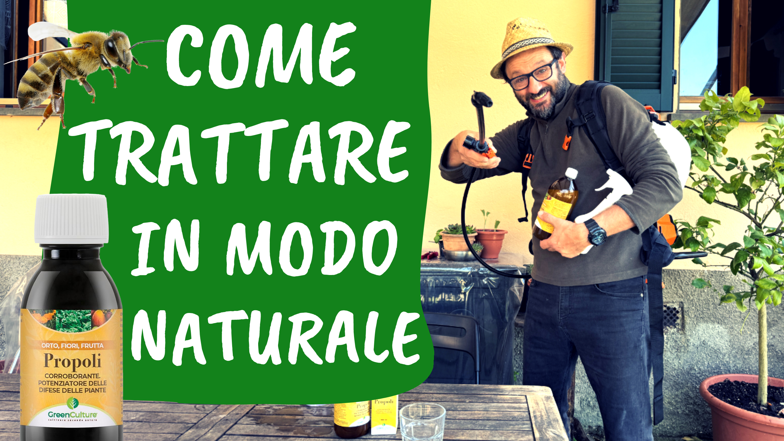 Propoli sulle piante: il trattamento naturale per salvare orto e ...
