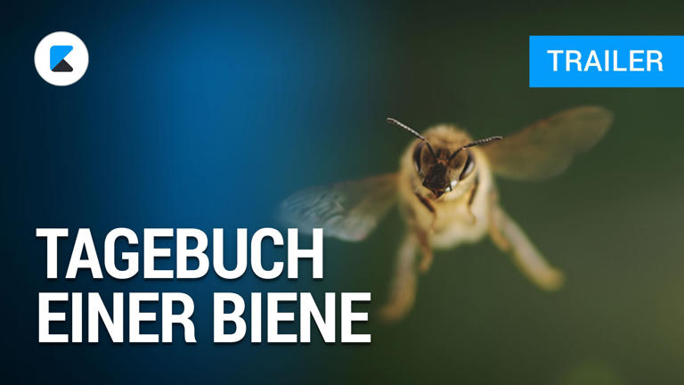 Lavendel war gestern: Diese Staude lockt noch mehr Bienen in deinen Garten