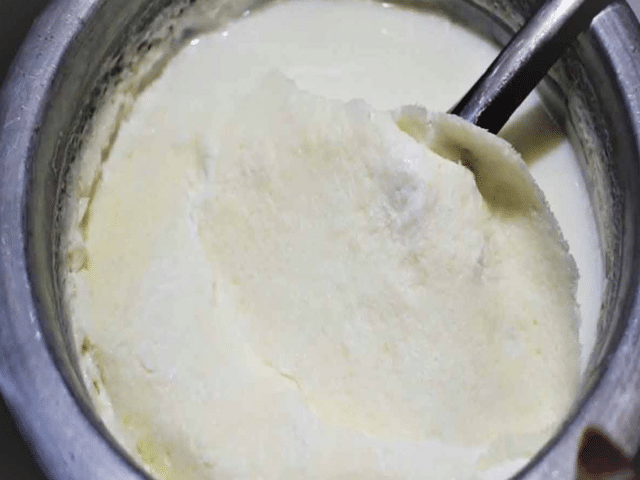 How to form a thick layer of cream on milk to yield more ghee? Note ...
