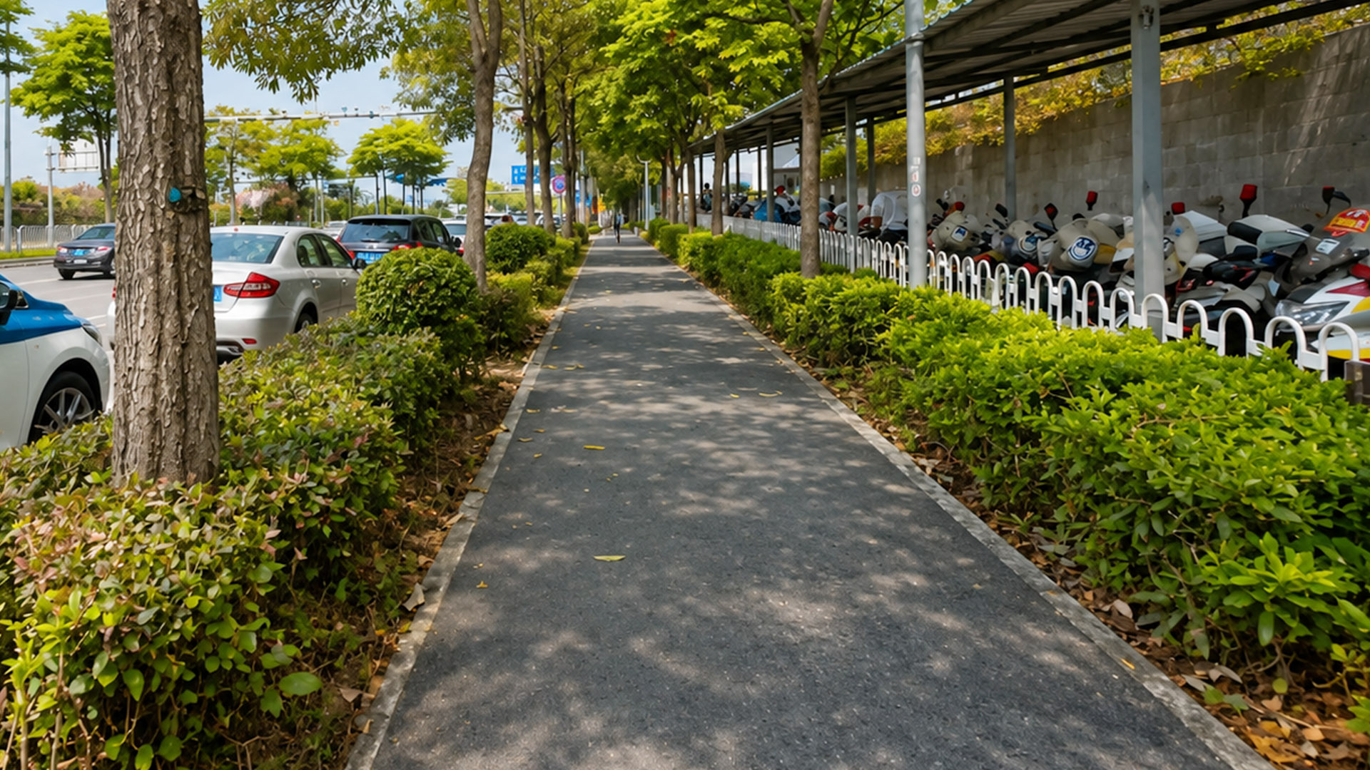 Quiet green sidewalks hidden beside China’s busy roads