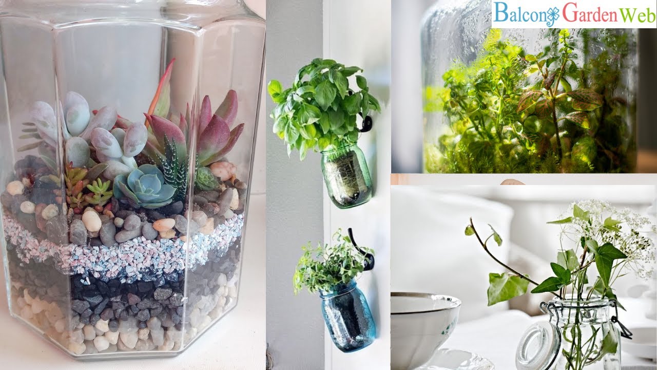 21 beautiful plants perfect for glass container growing