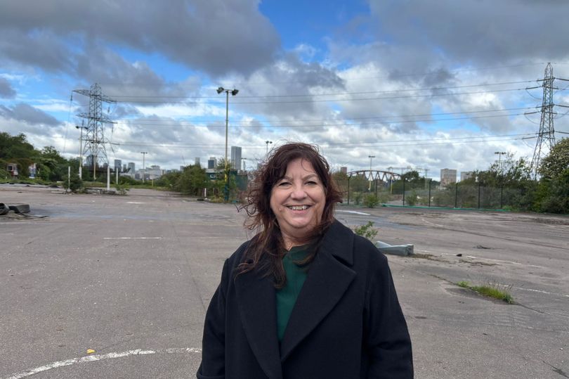 Birmingham Council boss says 'my job to deliver' as city gets to grips ...