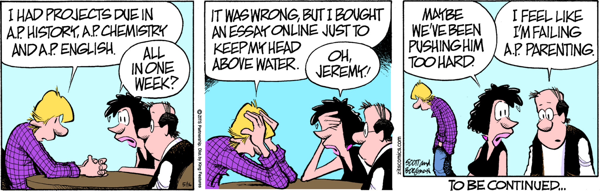 Zits by Jerry Scott and Jim Borgman
