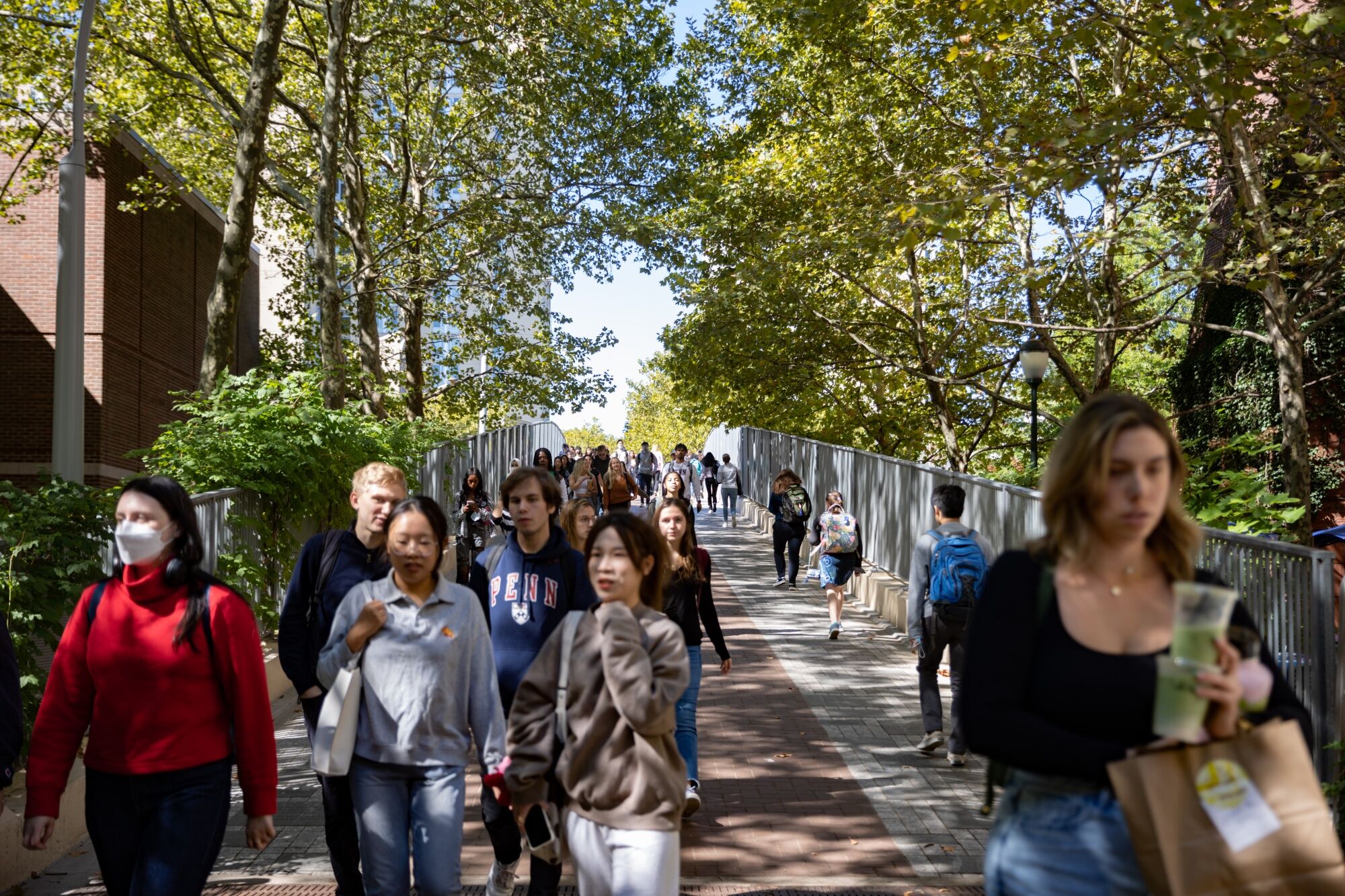 Business schools lure executives with fast-track AI skills, alumni perks