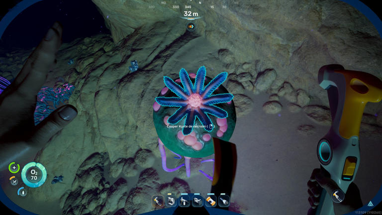 Kyste de necrolei Subnautica 2 : où trouver cette plante pour fabriquer ...