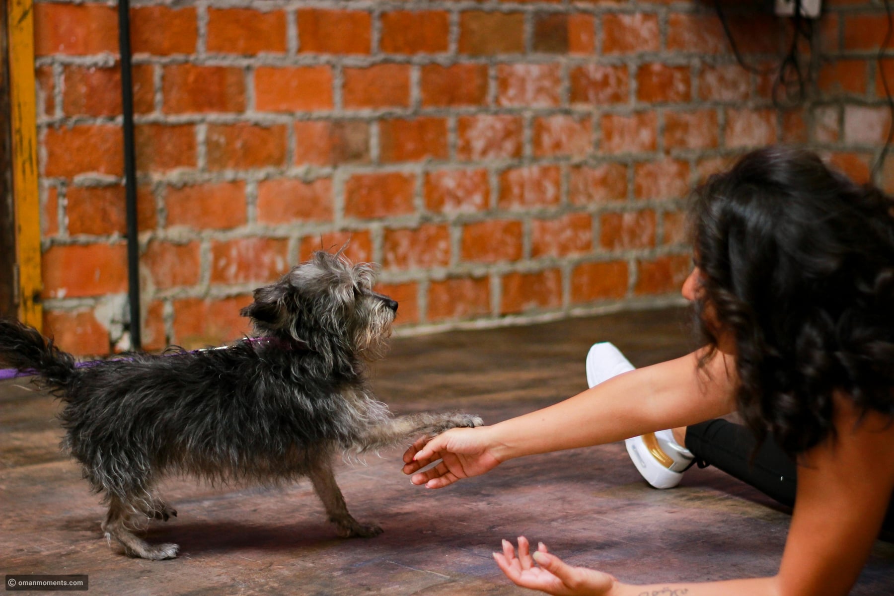 Science says your dog never forgets these important moments with you