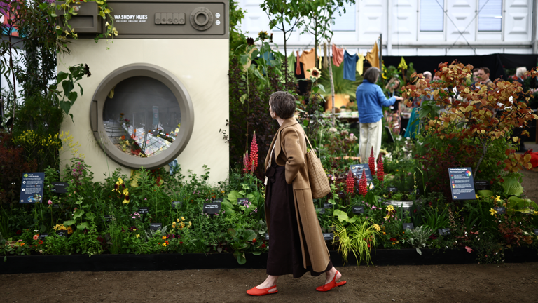 Heading to Chelsea Flower show this week? 3 insider tips to know before ...