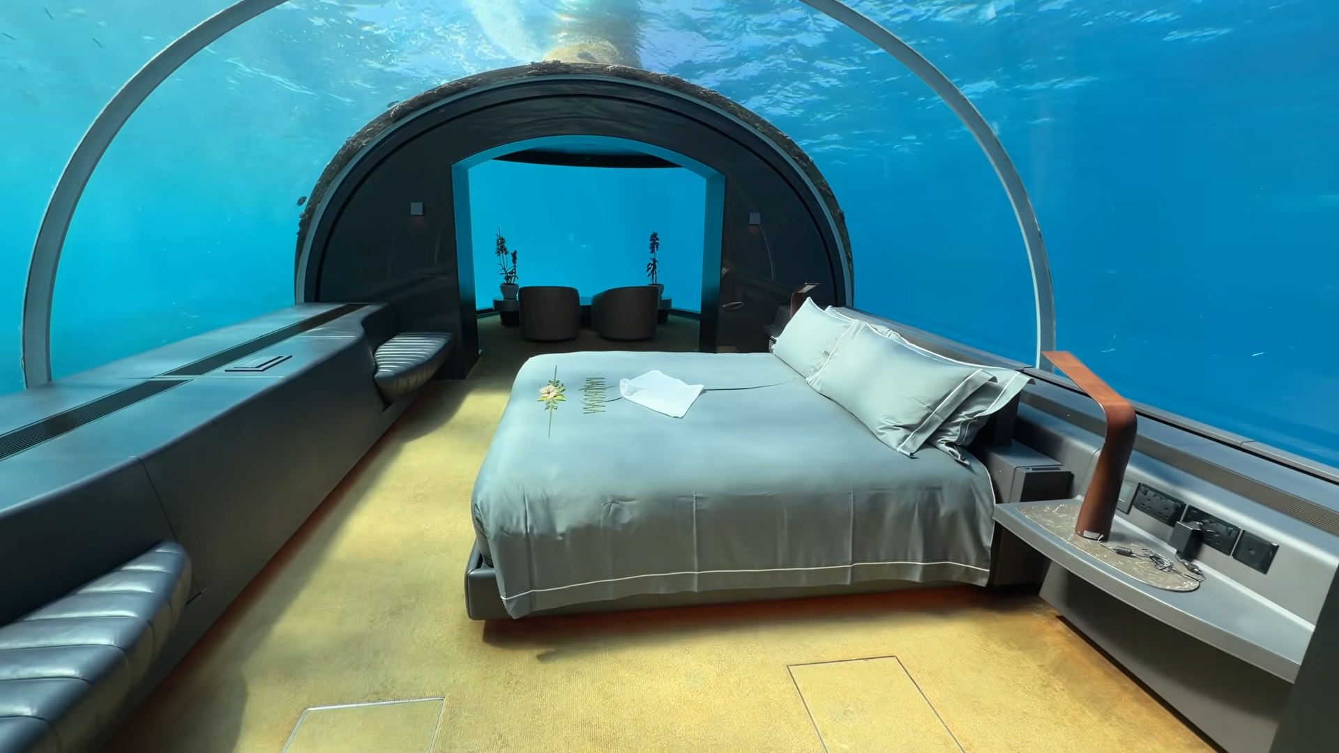 He paid $18,000 to sleep under the ocean - then the sharks appeared