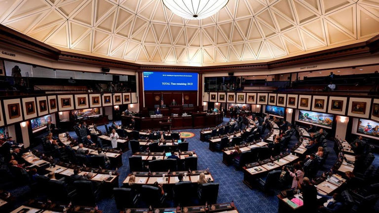 Debate over tracking school vouchers holds up Florida's new budget