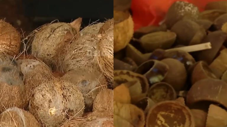 Kerala market shock: Coconut shells become the new money-maker; read ...