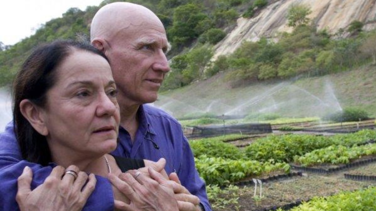 Earth healers: Couple planted 2 million trees and brought an entire ...