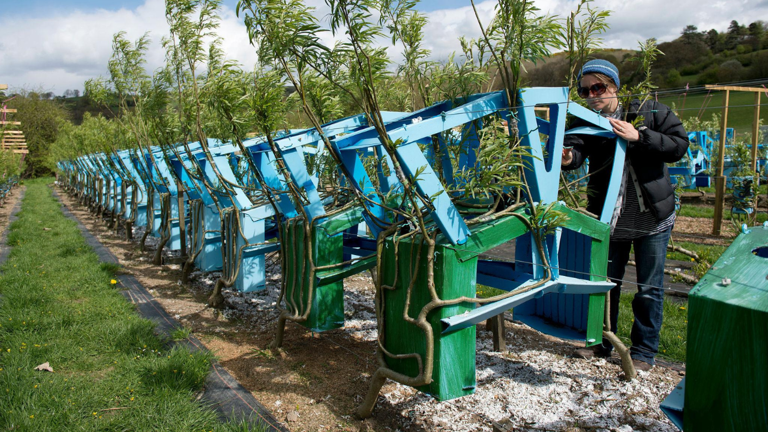 Growing furniture: This UK couple is growing actual chairs from living ...