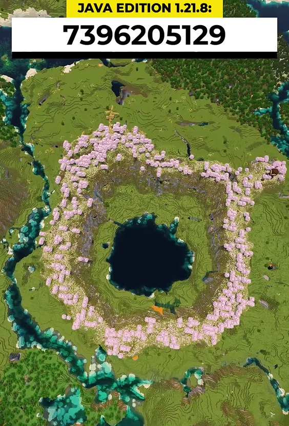 Perfect Cherry Grove circle seed with natural terrain formation in ...