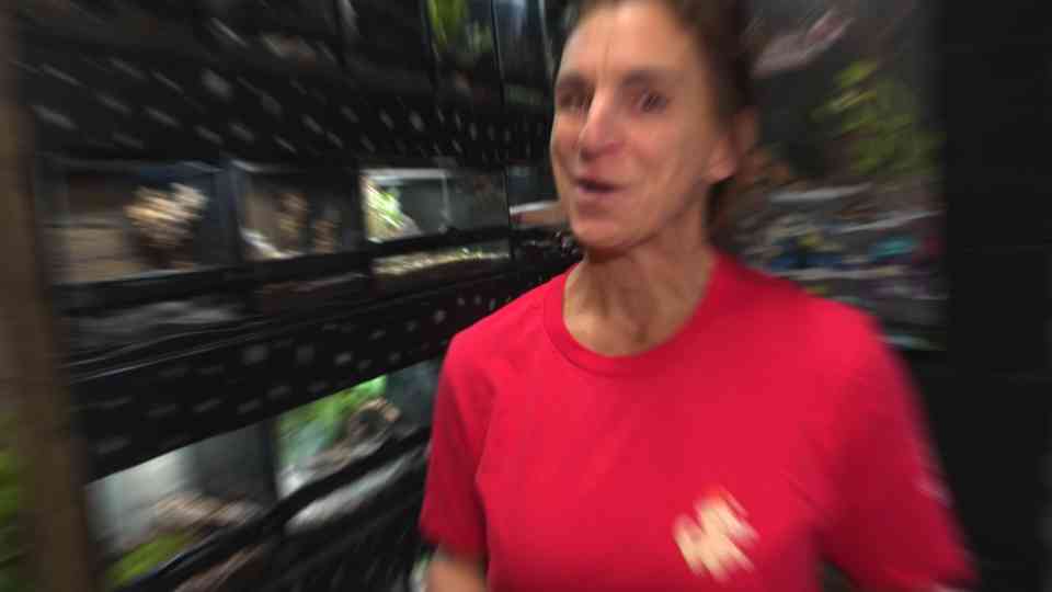She handed me a bird-eating tarantula - then I froze