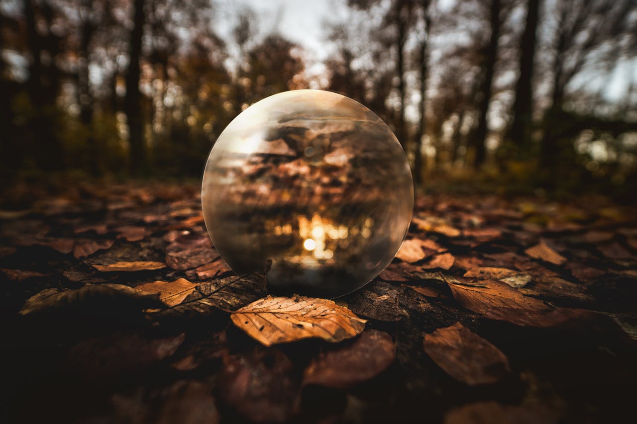 Second UFO sphere recovered deep in jungle after elderly couple sighting