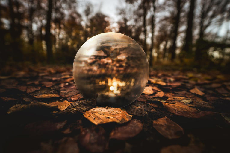 Second UFO sphere recovered deep in jungle after elderly couple sighting