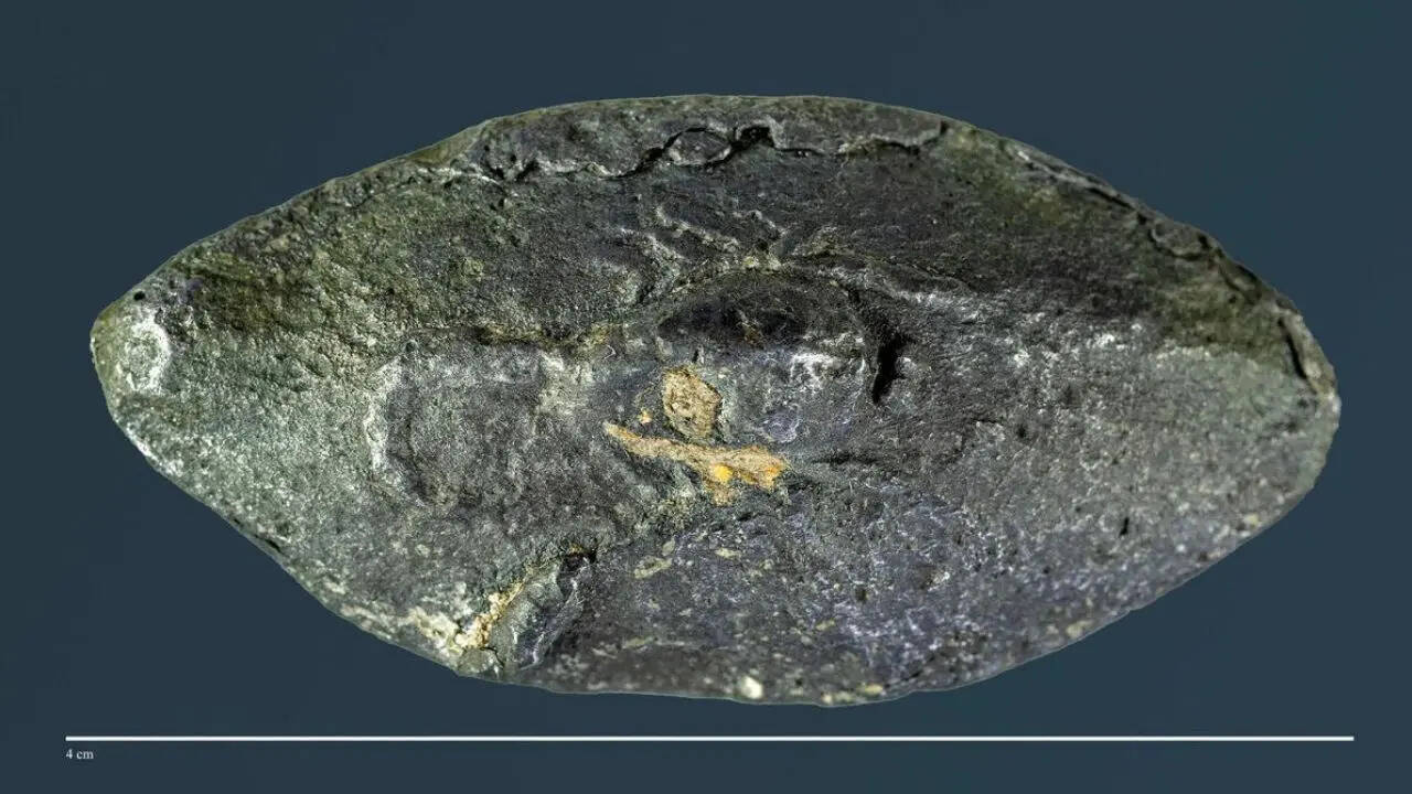 This ancient bullet carried a secret 2,100-year-old Greek word that ...