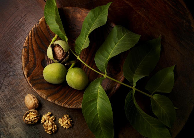 I watched thousands of walnuts rain down – here’s the story in a nutshell