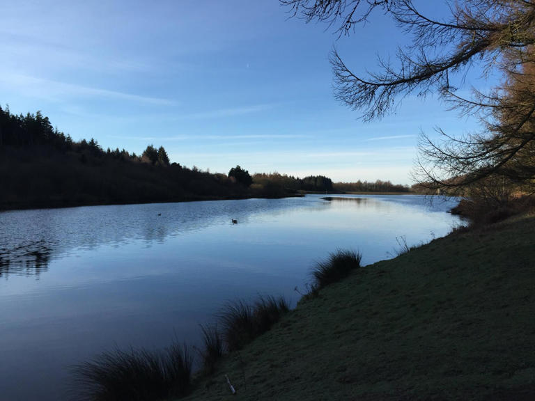 Cod Beck Reservoir: Police warning after dog attacks on sheep at ...