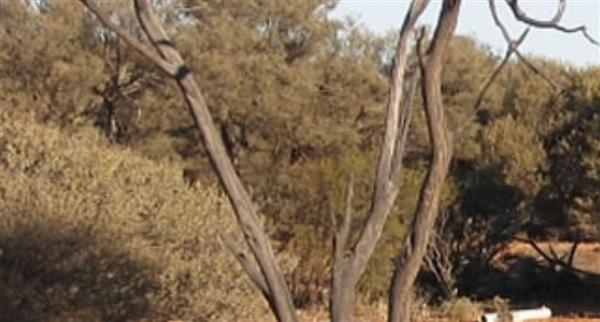 Terrain Minerals set to strike at Lightning gold project with ...