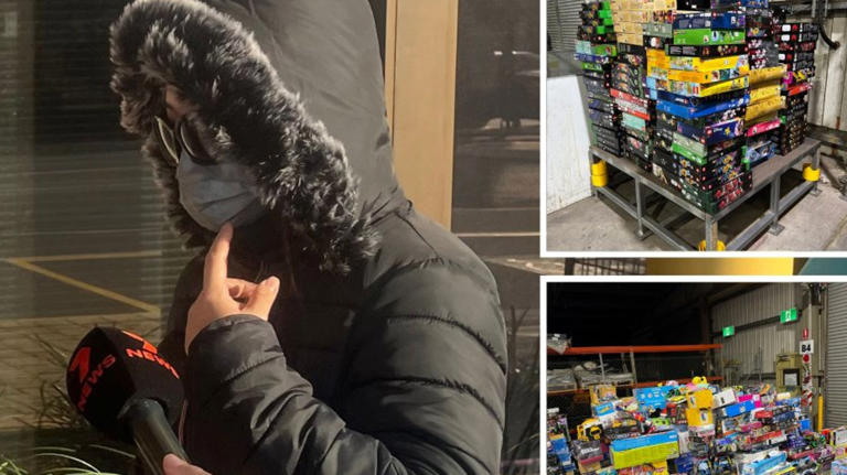 Mum with 15 pallets of stolen Lego in shed