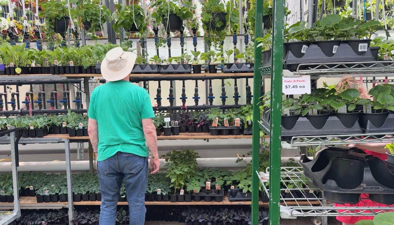 Canada has updated its plant hardiness map. Let's dig in