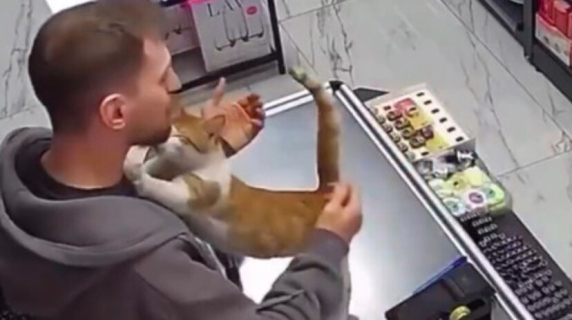 Il gatto che ogni giorno entra in negozio per ricevere coccole ...