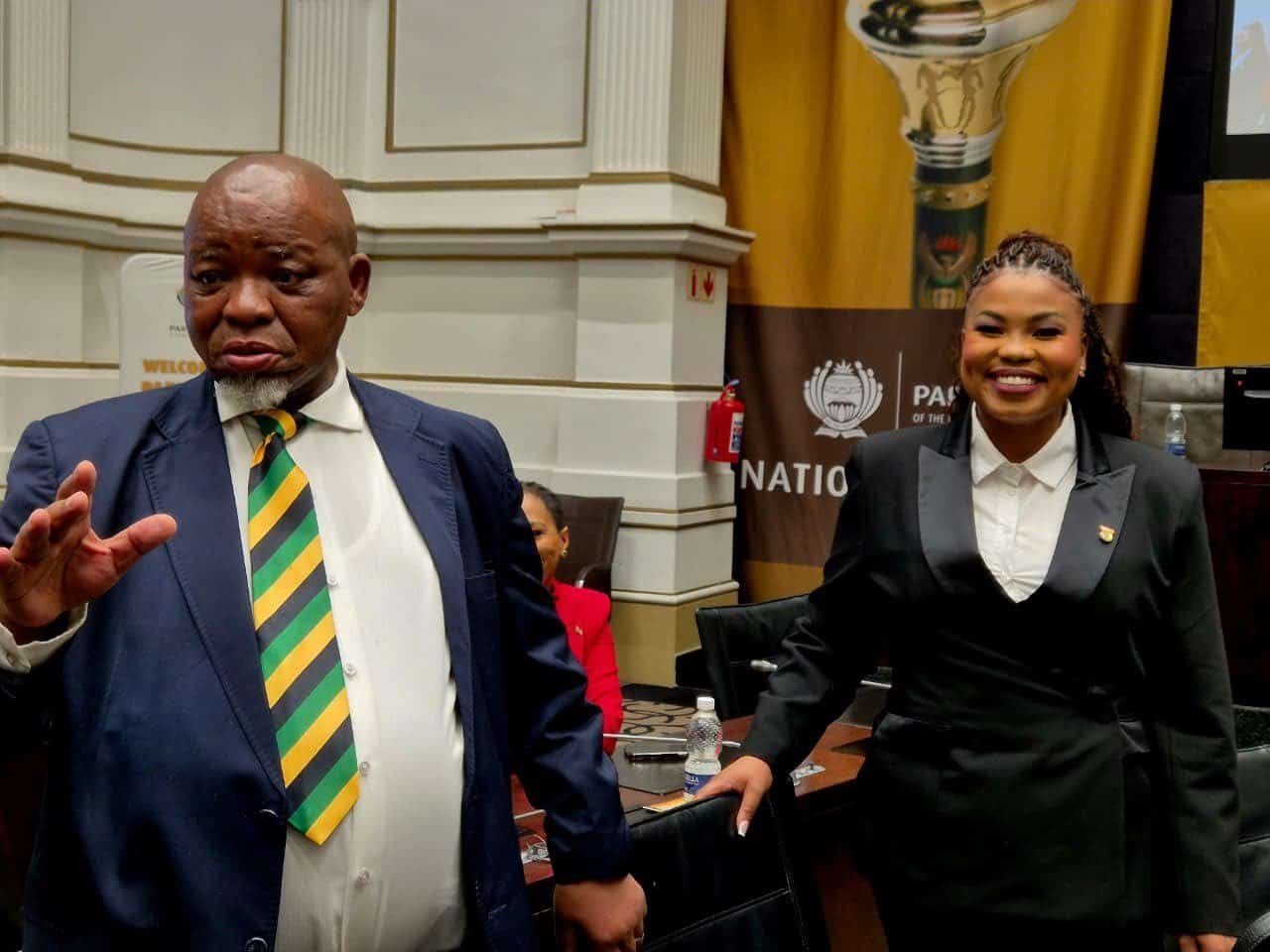 Mineral and Petroleum Resources Minister Gwede Mantashe defends oil ...