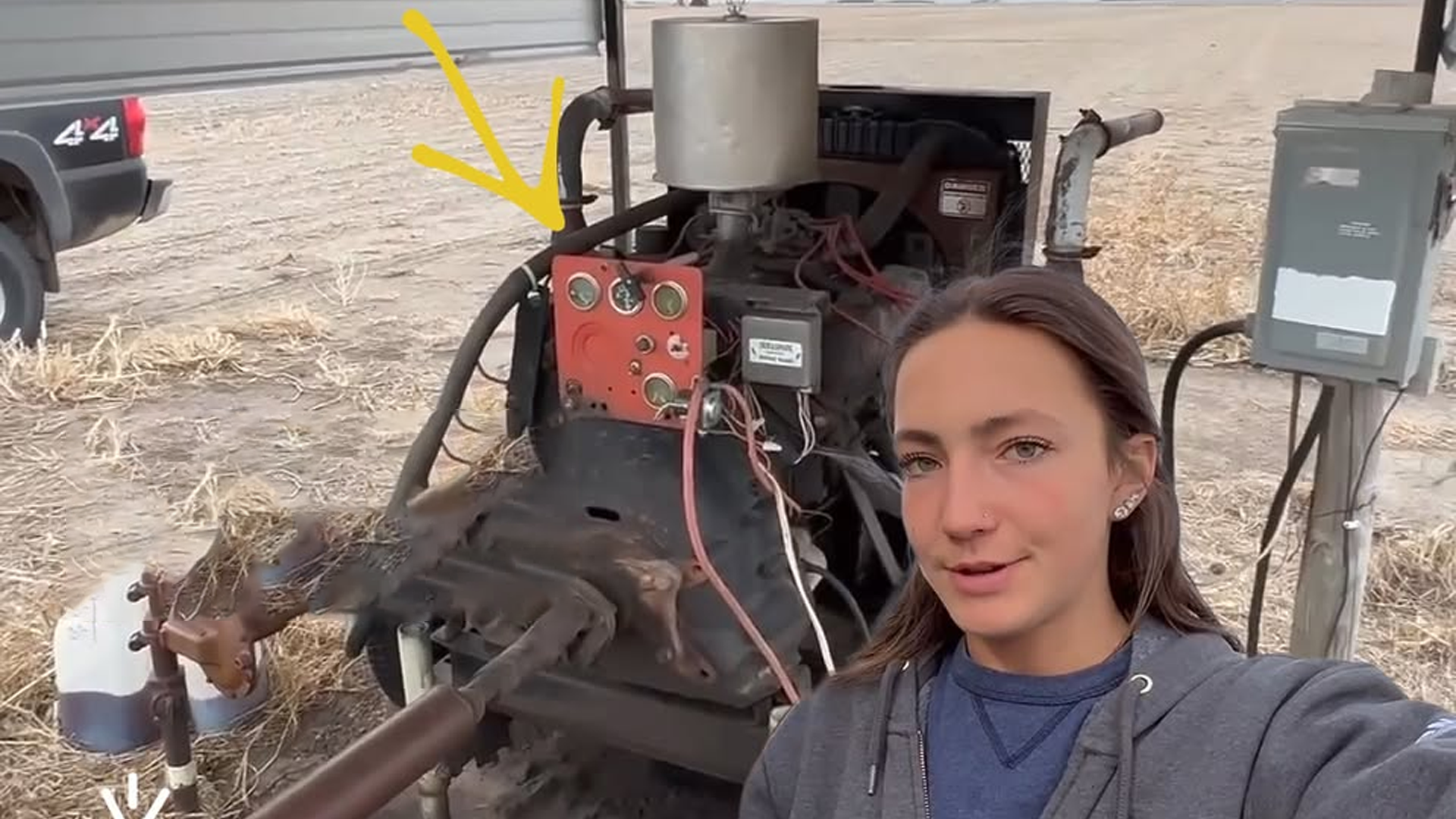 Checking machinery for mouse nests