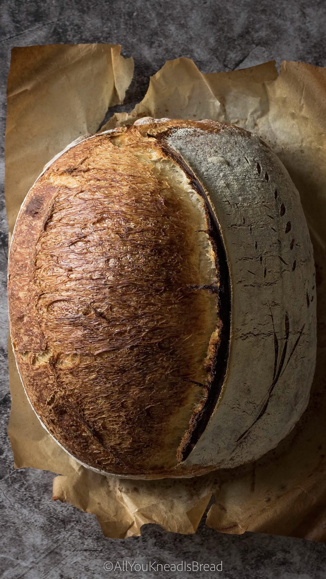 Homemade sourdough bread fresh artisan loaf from scratch