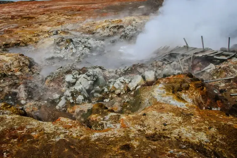 Brain-eating amoeba found in hot springs at 3 national parks, study warns