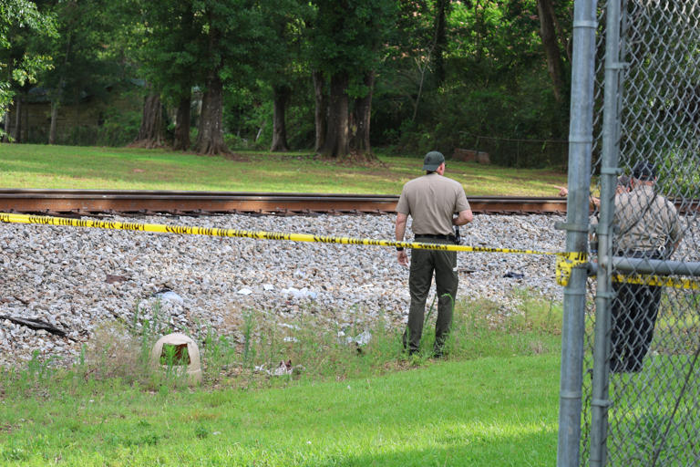 Woman killed after being struck by Amtrak train in Irvington, MCSO says