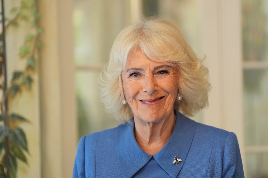 Camilla was behind Andrew’s royal downfall and wants his children cut ...