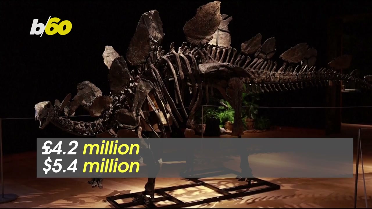 These dinosaur skeletons just sold for millions