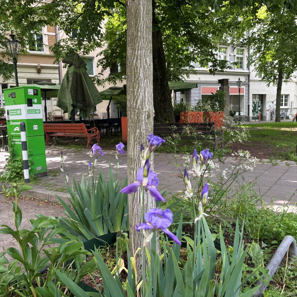 Neues Bewohnerparkgebiet rund um den Lindenplatz
