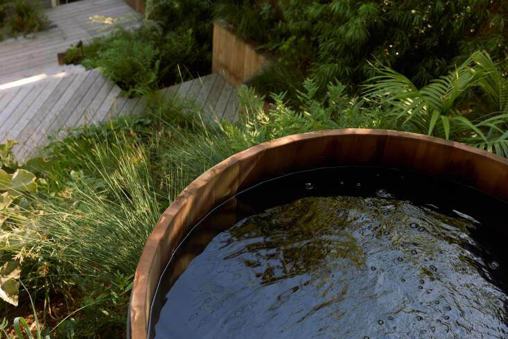 A steep woodland garden in San Francisco reimagined by Talc Studio