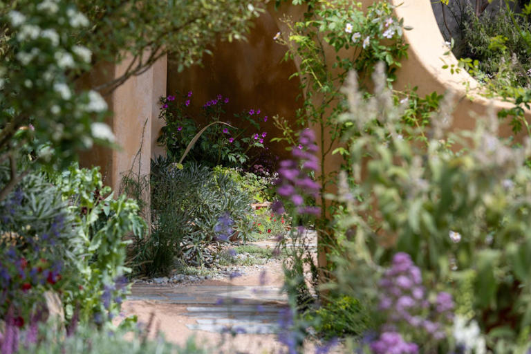 Chelsea Flower Show’s biggest trend? Wild, mid-height planting ...