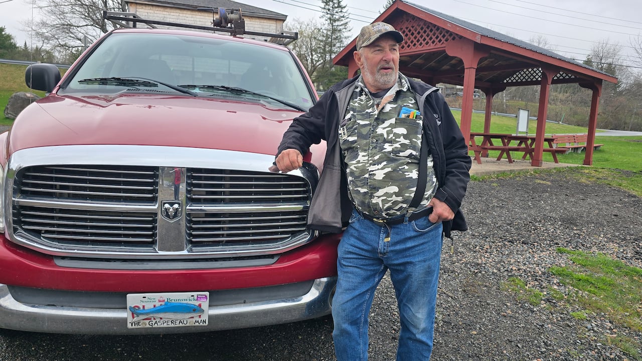 Change at Mactaquac Dam sees millions more fish make it upriver to spawn