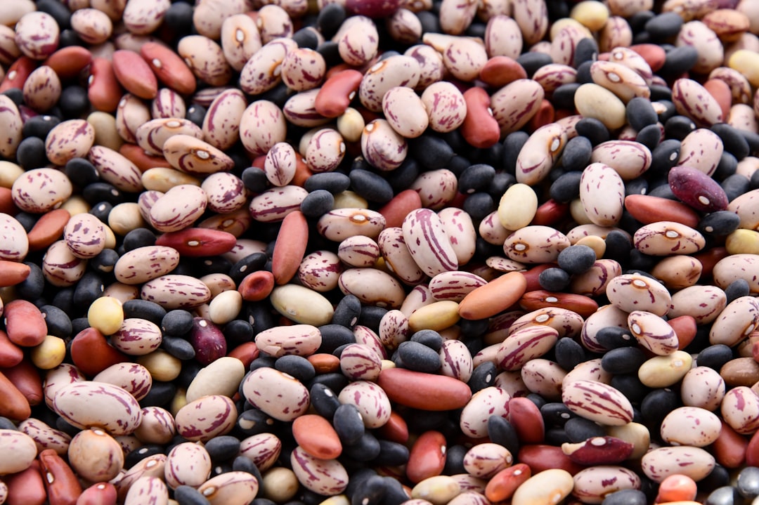 How to plan a week of clean meals on a modest budget