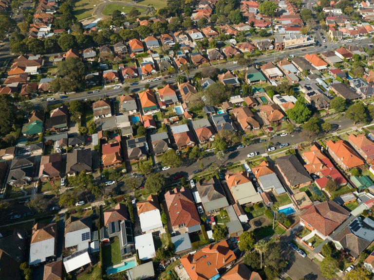 Landlord takes cat fight to tribunal