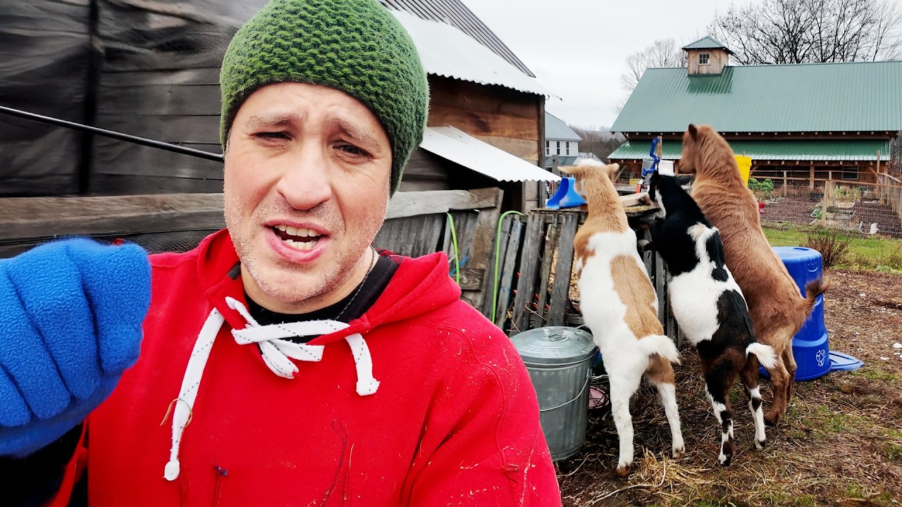 Find out why most family farms look like messy dumpster fires