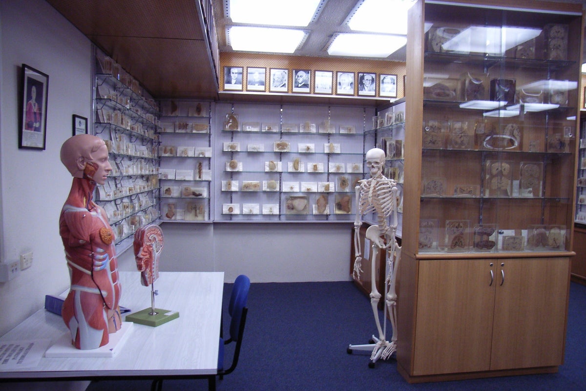 Tasmania apologises for retaining body parts after autopsies