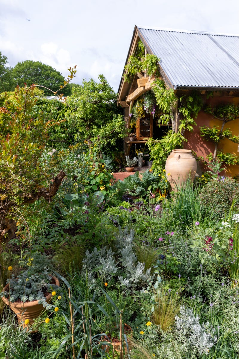 The RHS and The King's Foundation Curious Garden isn't here to impress ...