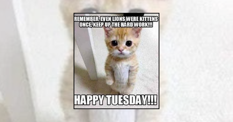 'Keep moving forward, the best is yet to come': 21 relatable Tuesday ...
