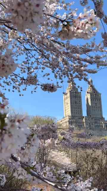 Spring break vibes in New York City