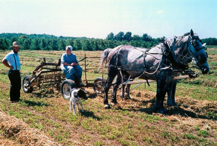 10 practices that reveal a different side of Amish life